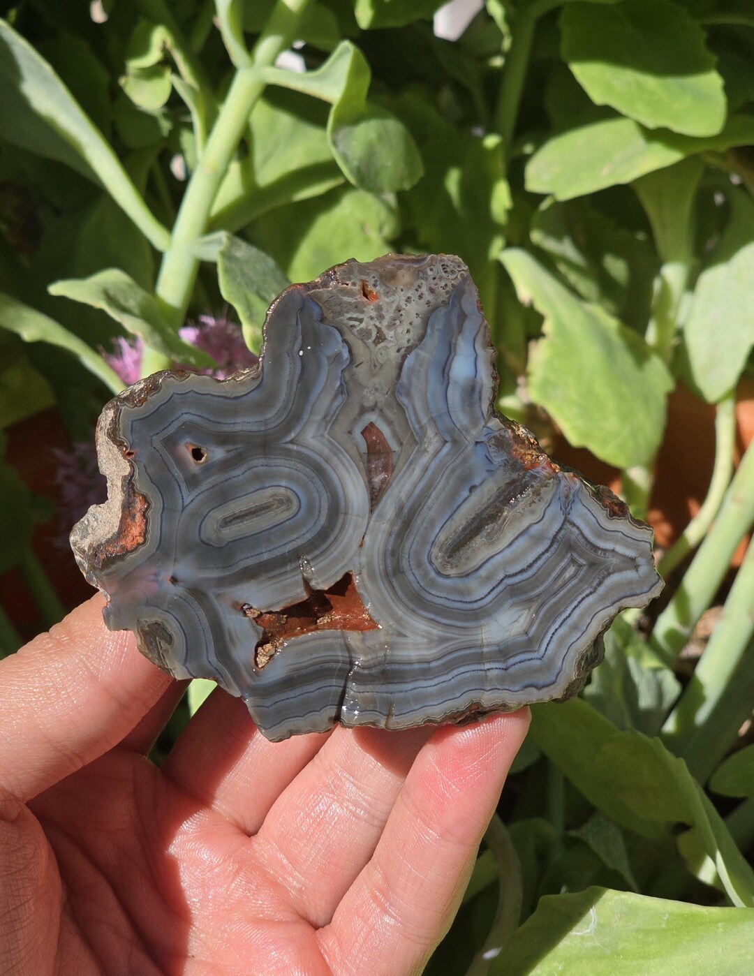 Blue and Gray Banded and Red Botryoidal and Geode Agate, Turkey Agate ...