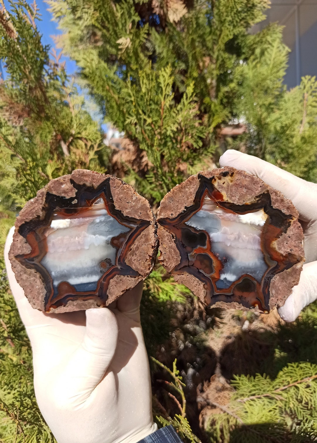 Red and Blue Banded and Ocean Waterline Thunderegg Agate, Thunderegg ...