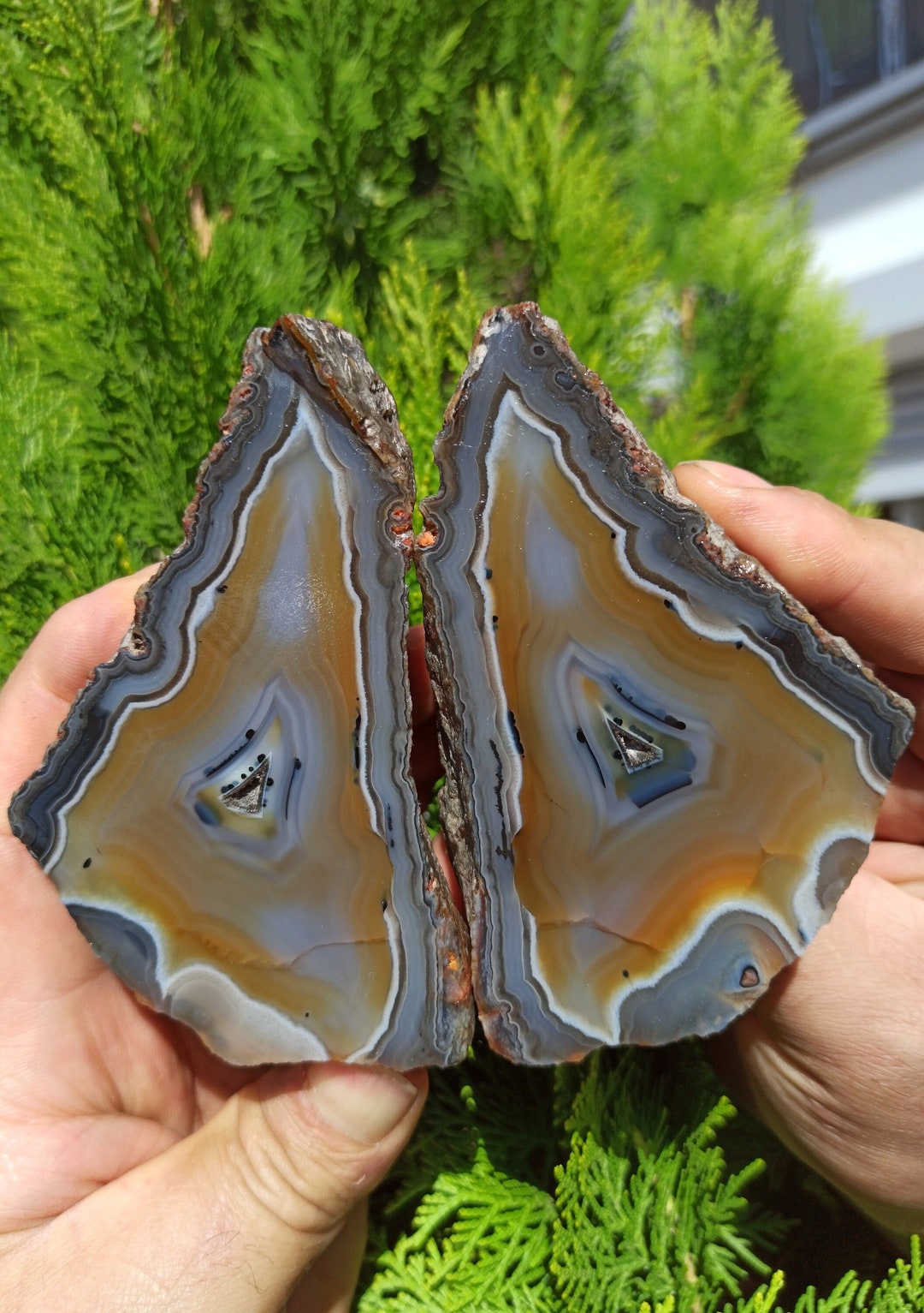 Rare Gray and Yellow Banded Agate, Turkish Agate, Metaphysical Crystals ...