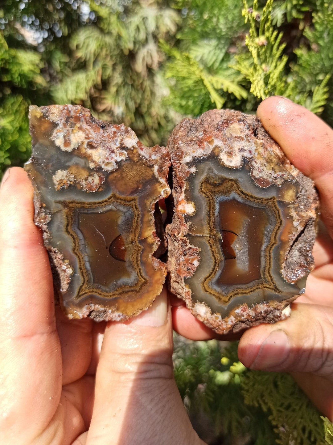 Green Banded and Brown and White Banded Agate, Turkish Agate ...