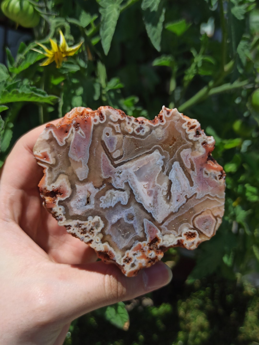 Pink Banded Agate, Pink Flower and Snowflake Agate, Turkish Agate Pair ...