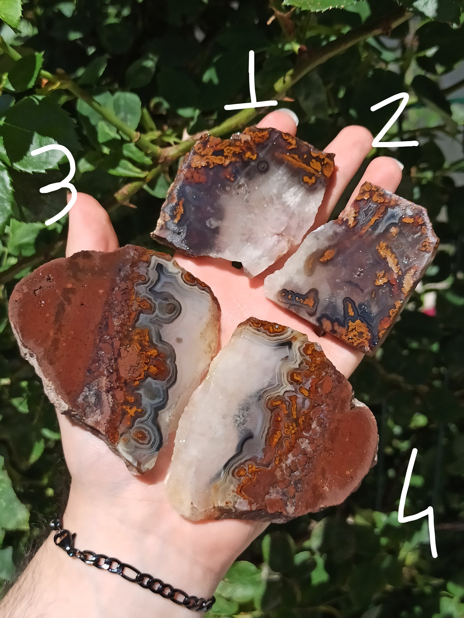 Orange Moss Agate Slabs, Agate Slabs for Lapidary, Metaphysical ...