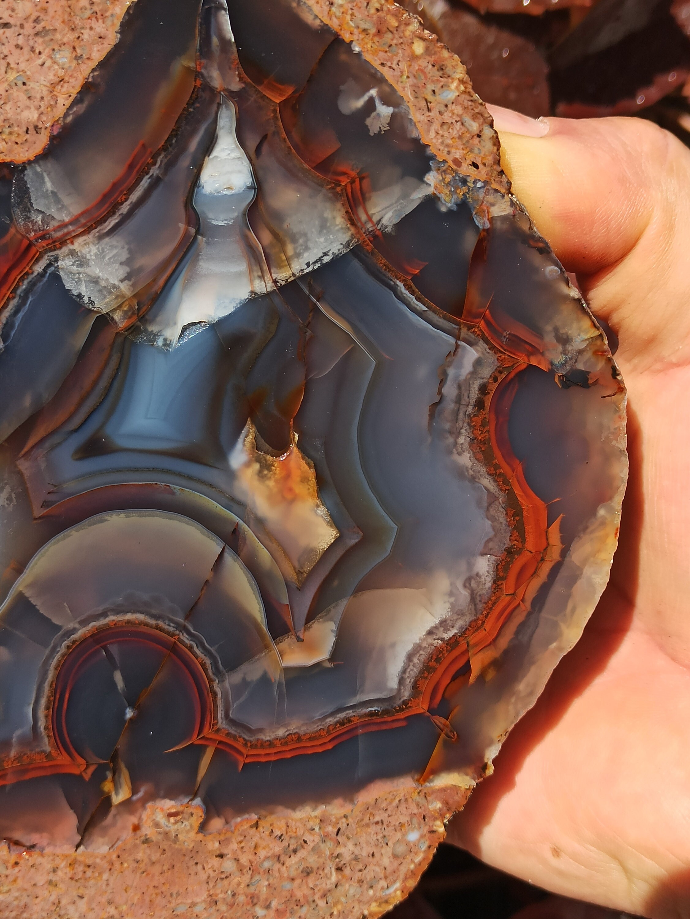 XL Unique Red and Blue Thunderegg Agate Thunderegg Achat - Etsy