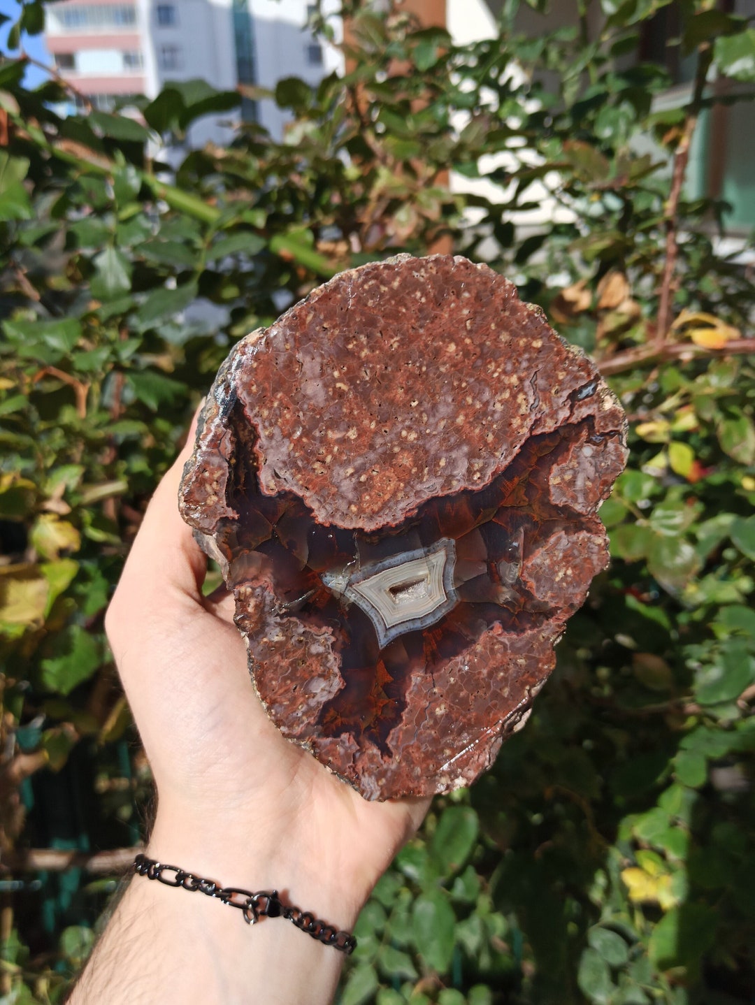 Red and Blue Thunderegg Agate, Geode Thunderegg Achat, Blue Turkish ...