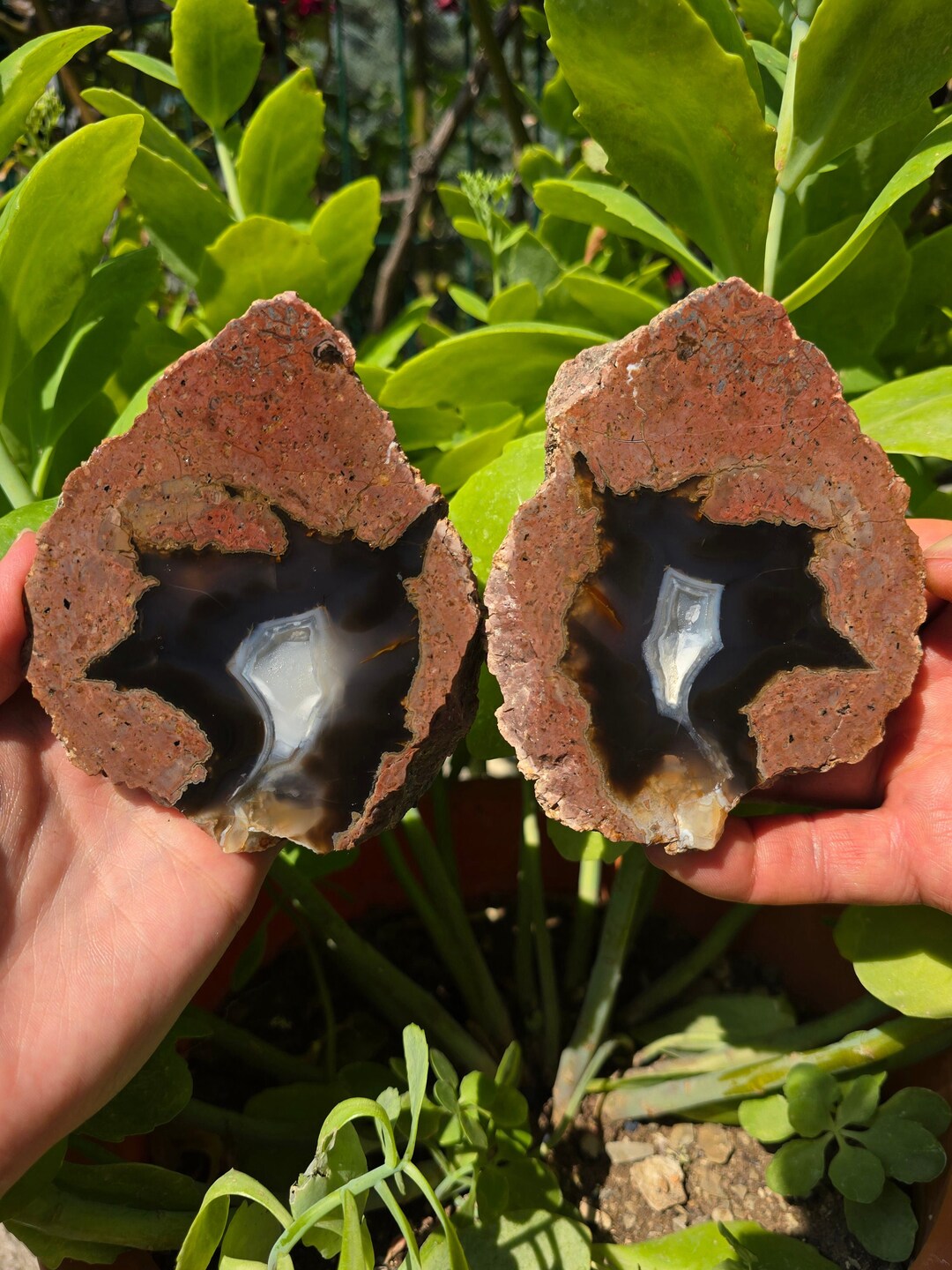Blue Banded and Geode Thunderegg Agate, Geode Pair Thunderegg Achat ...