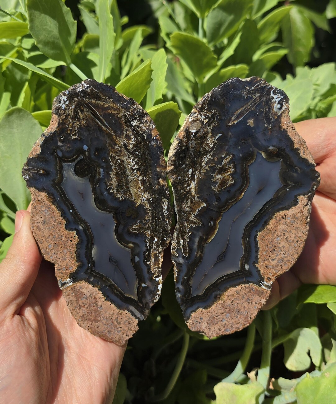 Blue Banded and Stick Thunderegg Agate, Thunderegg Achat, Turkish Agate ...