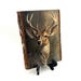 Wood Deer Picture on Wood Rustic Photo Frame Custom Deer Hunting Wall ...