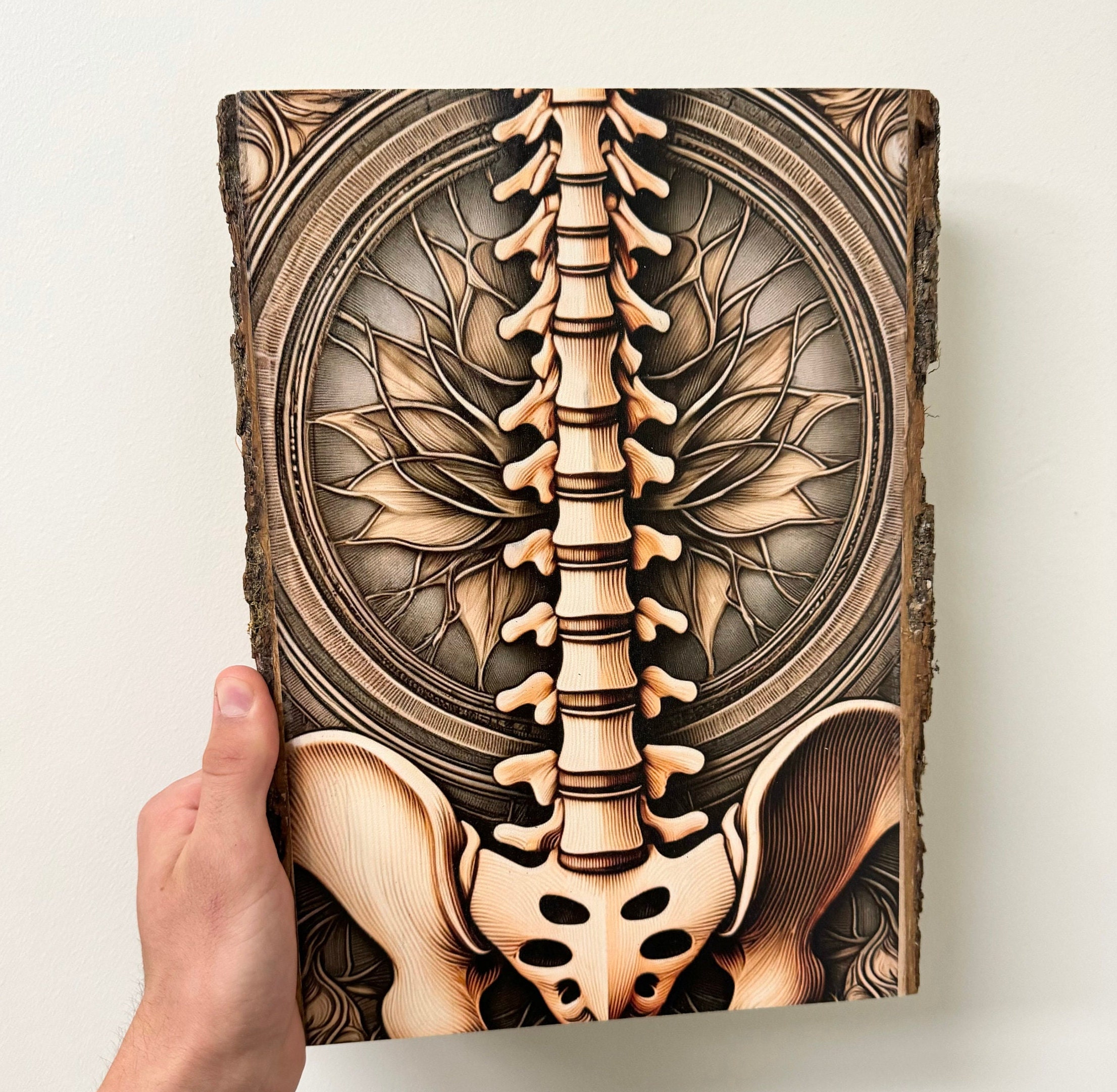 Personalized Chiropractor Sign, Chiropractor Sign, Chiropractor Gift ...