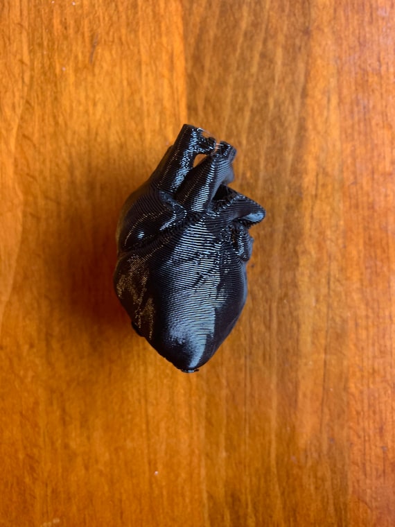 3D Printed Anatomical Heart Keychain Anatomy Nursing RN - Etsy