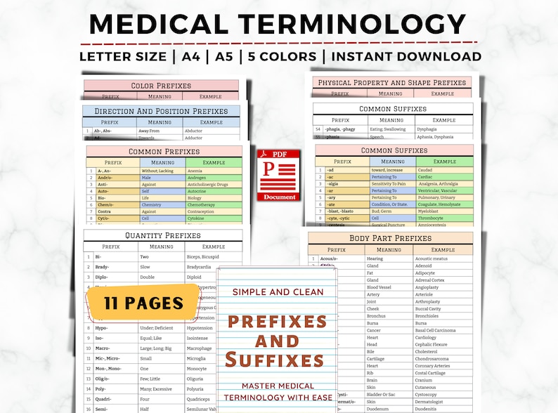 Medical Terminology Flashcards, Prefixes, Suffixes (digital Download ...