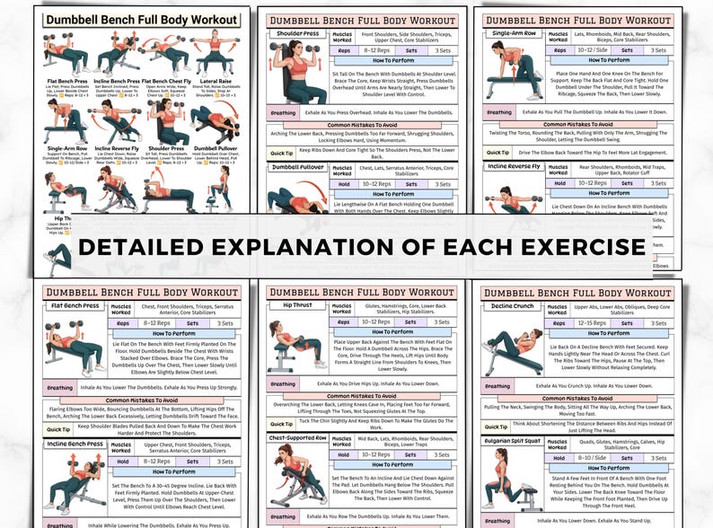 Dumbbell Bench Workout Chart, Full Body Bench Weight Lifting, Upper ...