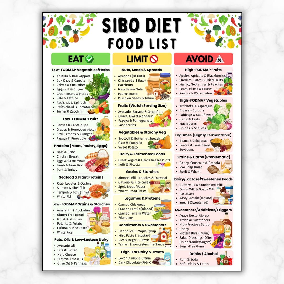 SIBO Diet Food List, Printable Low FODMAP Food Chart, Gut-friendly, IBS ...