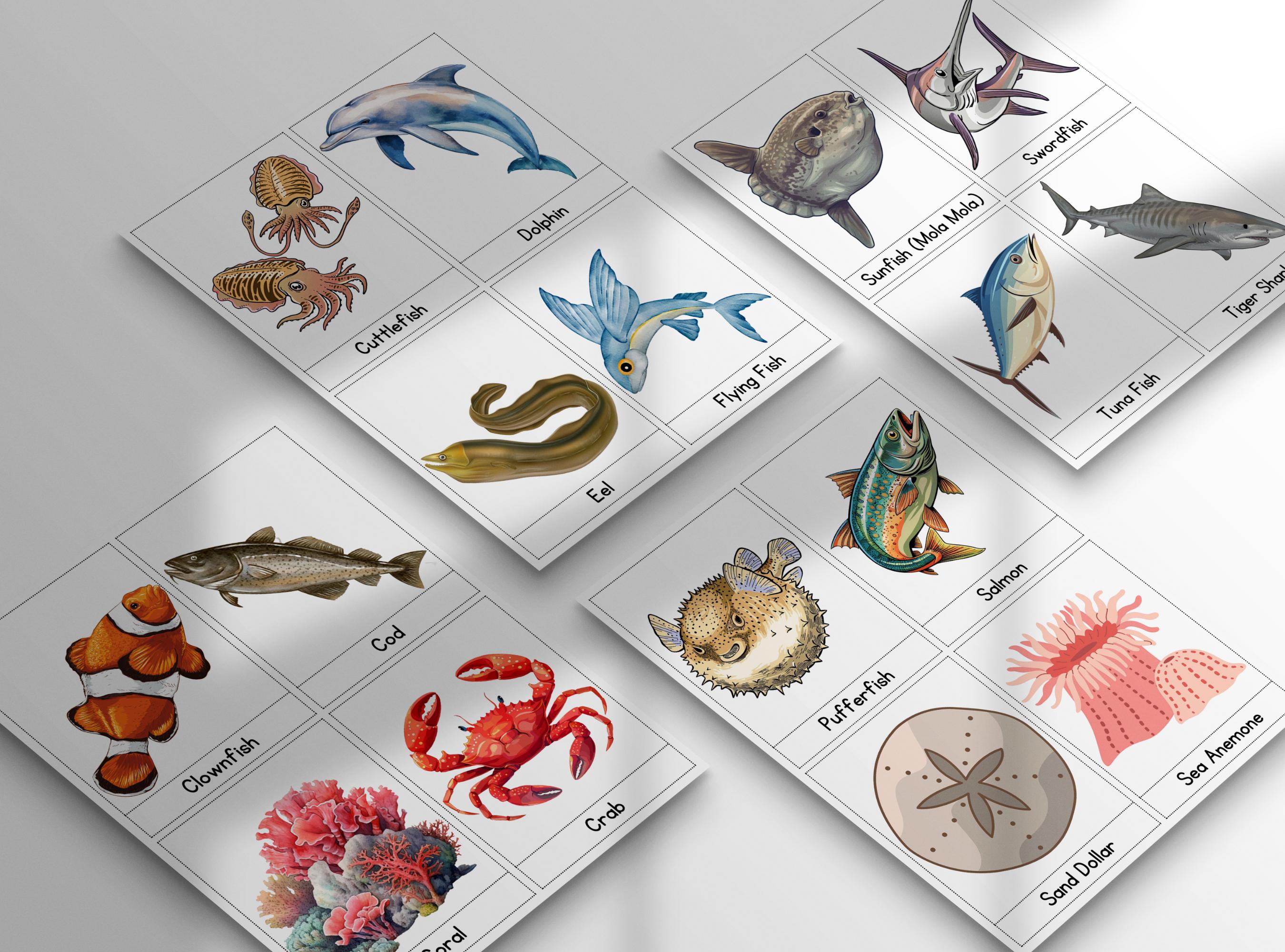 50 Ocean Animals Flashcards, Montessori Flash Cards, Sea Creatures ...