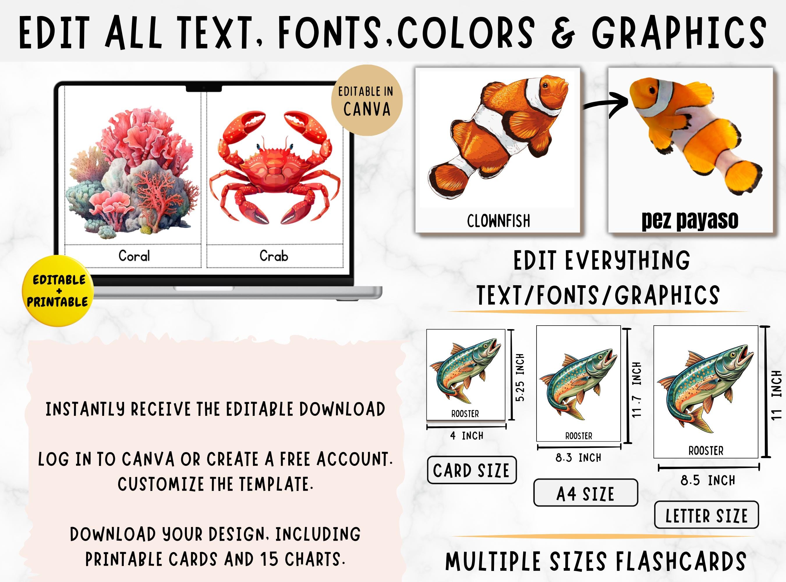 50 Ocean Animals Flashcards, Montessori Flash Cards, Sea Creatures ...