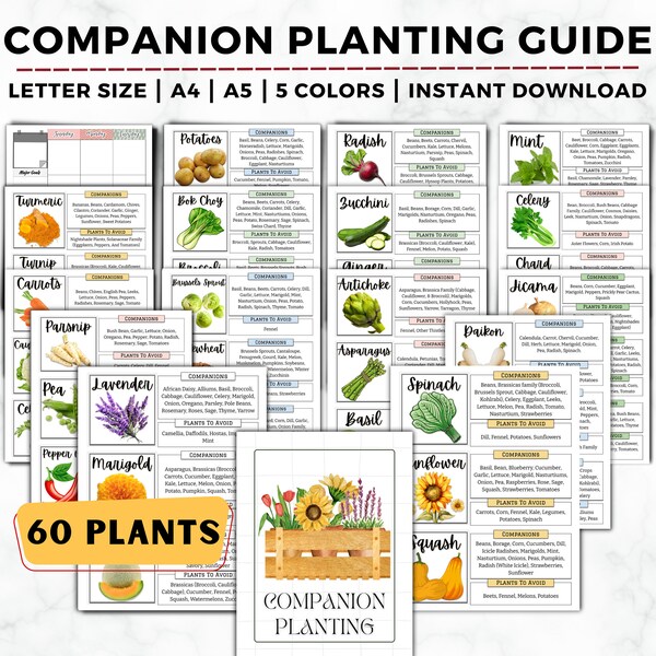 Garden Companion Planting Guide - Etsy