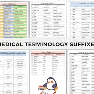 Medical Terminology Flashcards, Prefixes, Suffixes (digital Download ...