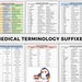 Medical Terminology Flashcards, Medical Terminology Prefixes and ...