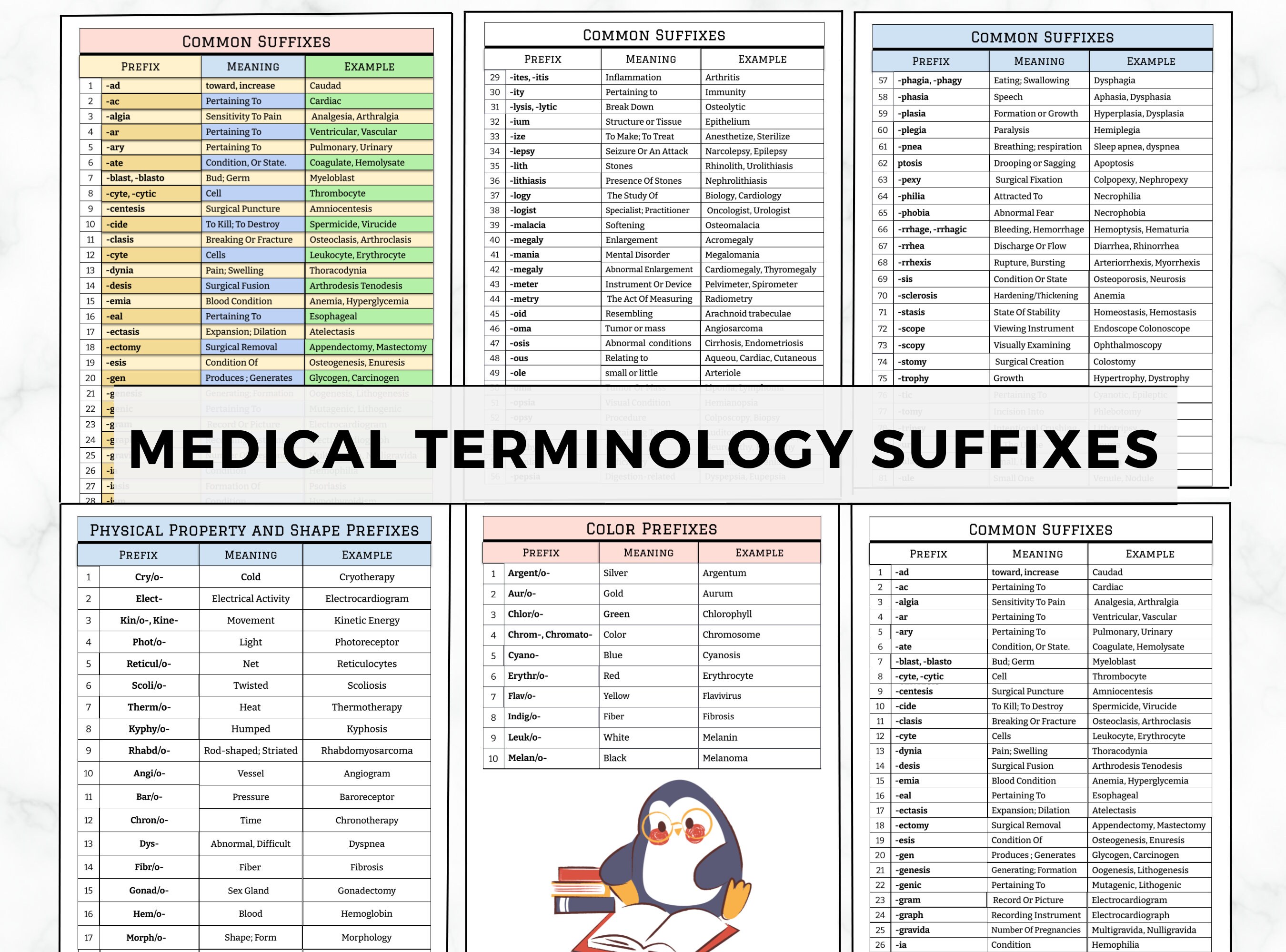 Medical Terminology Flashcards Medical Terminology Prefixes Etsy