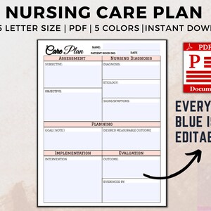 Editable Nursing Care Plan Template, Nursing Report Sheet (PDF) - Etsy