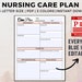 Editable Nursing Care Plan Template, Nursing Report Sheet (PDF) - Etsy