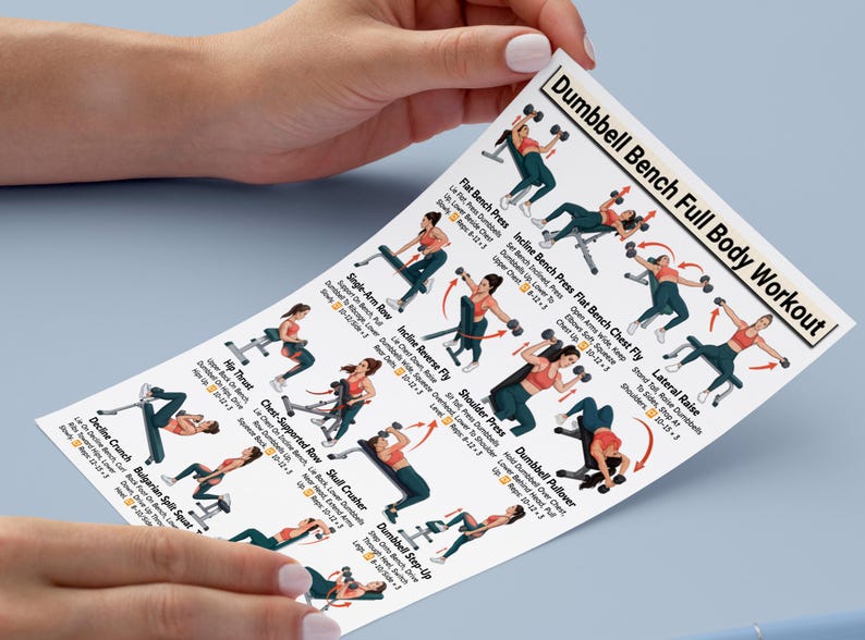 Dumbbell Bench Workout Chart, Full Body Bench Weight Lifting, Upper ...