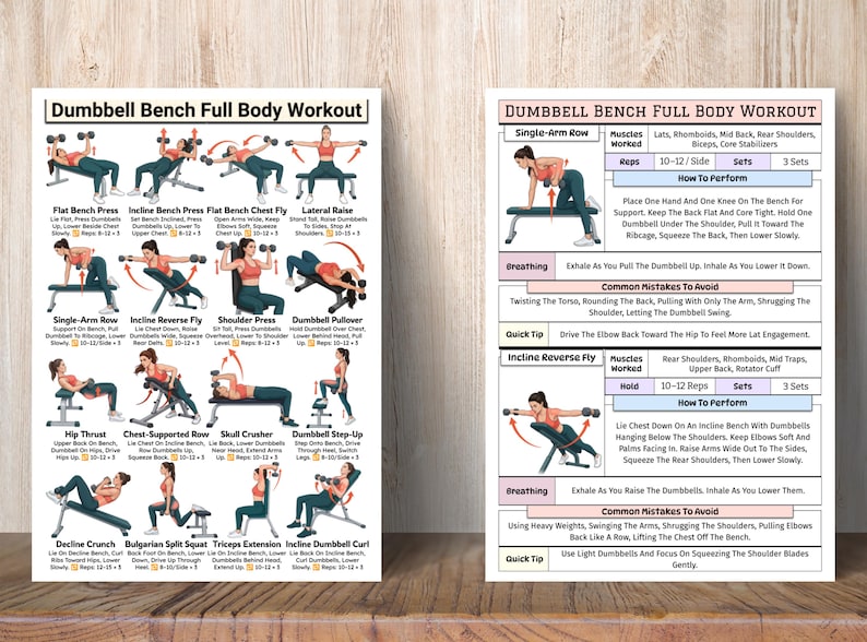 Dumbbell Bench Workout Chart, Full Body Bench Weight Lifting, Upper ...