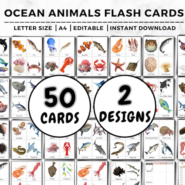 Animal Flash Cards - Etsy