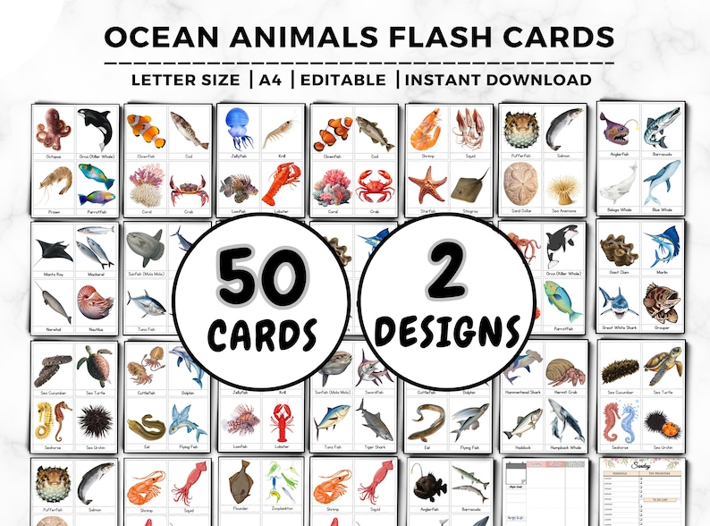 50 Ocean Animals Flashcards, Montessori Flash Cards, Sea Creatures ...