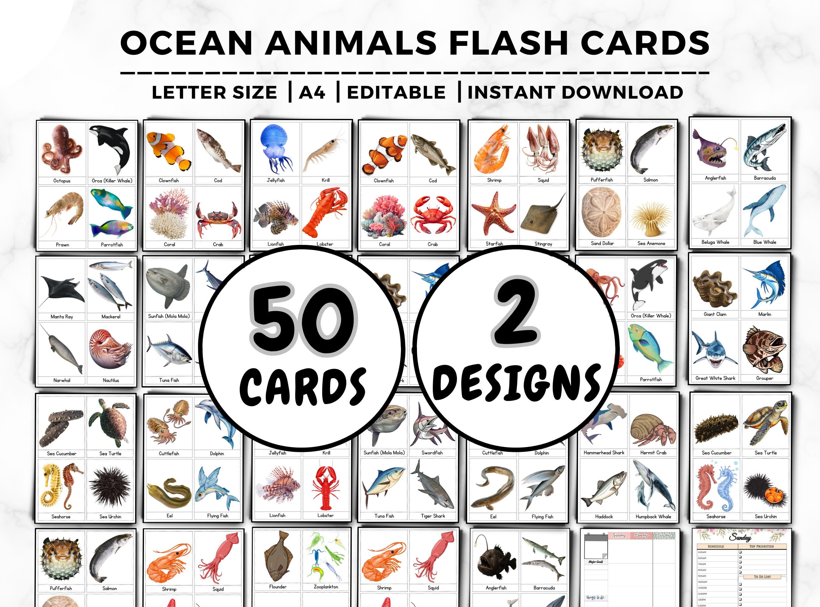 50 Ocean Animals Flashcards, Montessori Flash Cards, Sea Creatures ...