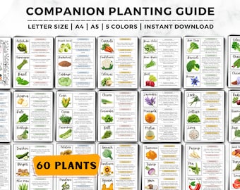 Companion Planting Chart | Home + Garden Planner | Instant Download - Etsy