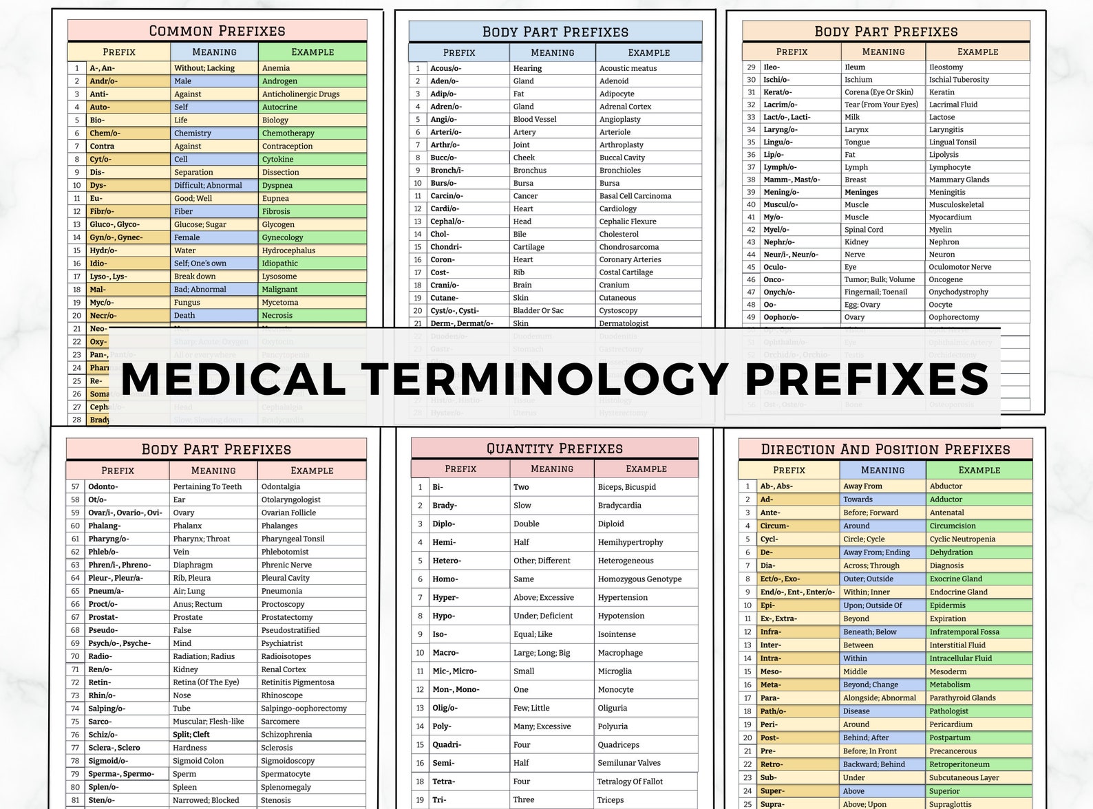 Medical Terminology Flashcards, Prefixes, Suffixes (digital Download ...