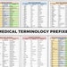Medical Terminology Flashcards, Medical Terminology Prefixes and ...