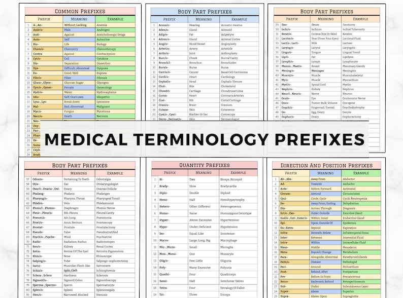 Medical Terminology Flashcards Medical Terminology Prefixes - Etsy