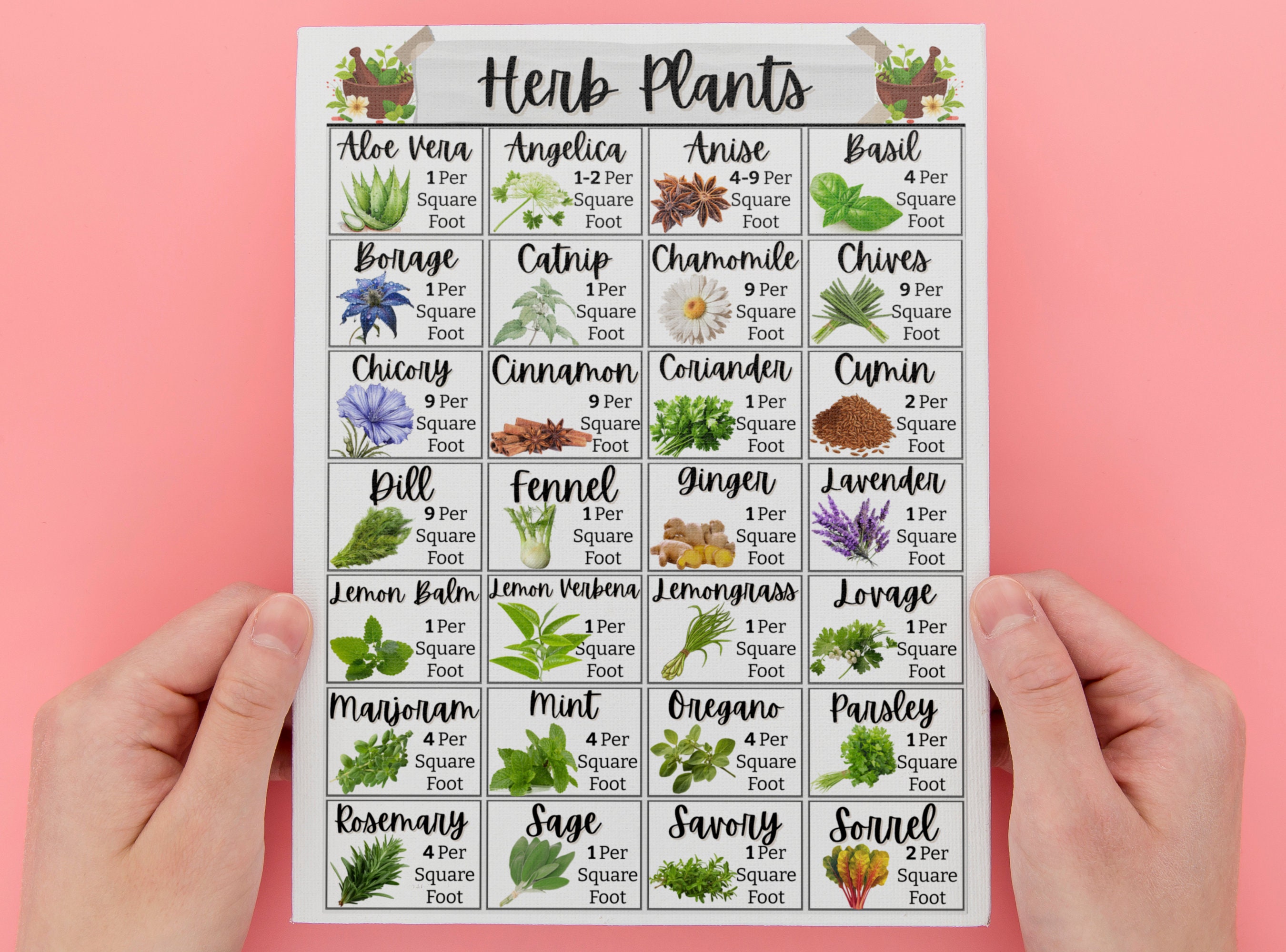 Square Foot Gardening Chart Plant Ifas