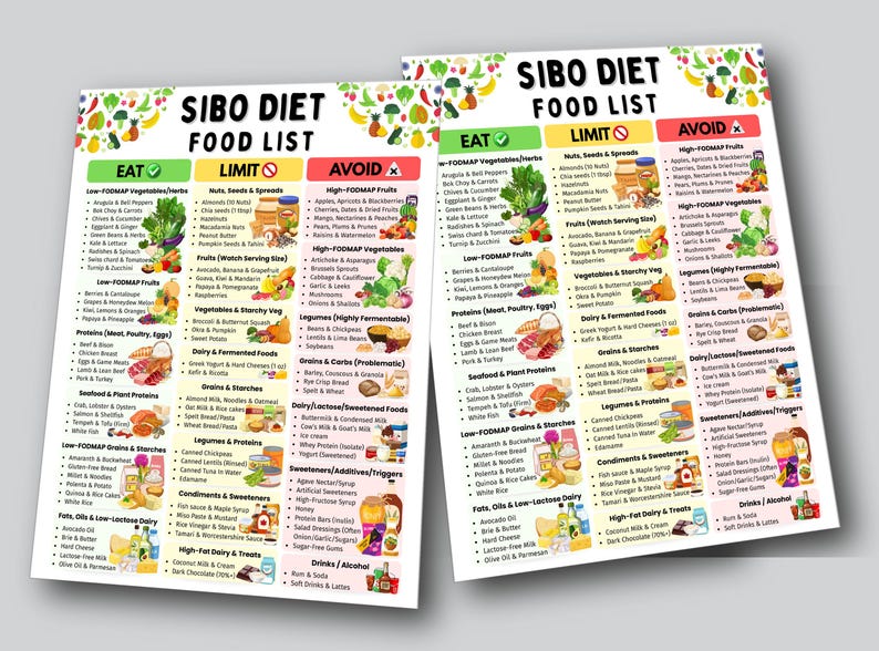 SIBO Diet Food List, Printable Low FODMAP Food Chart, Gut-friendly, IBS ...