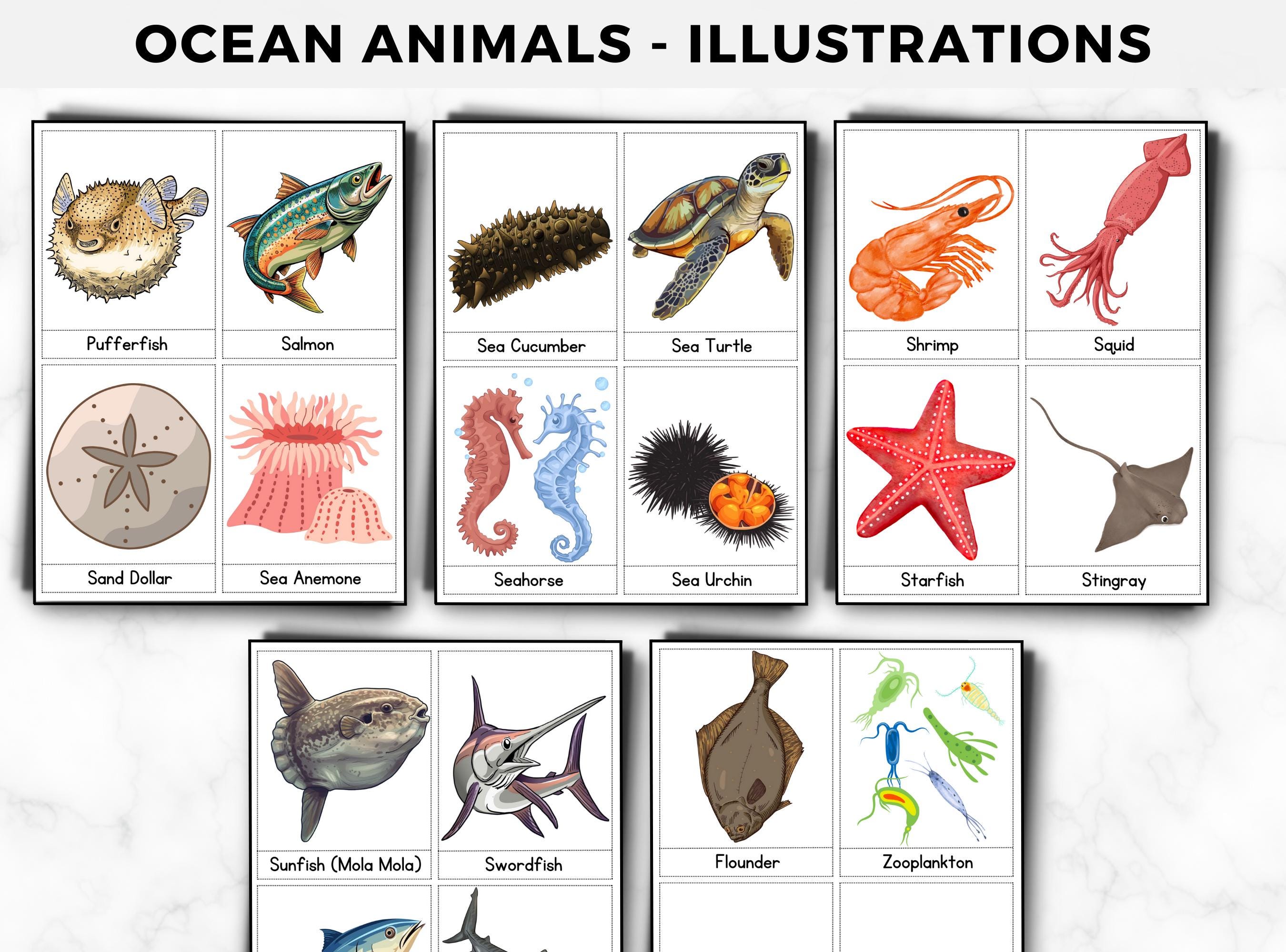 50 Ocean Animals Flashcards, Montessori Flash Cards, Sea Creatures ...