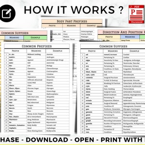 Medical Terminology Flashcards, Prefixes, Suffixes (digital Download ...