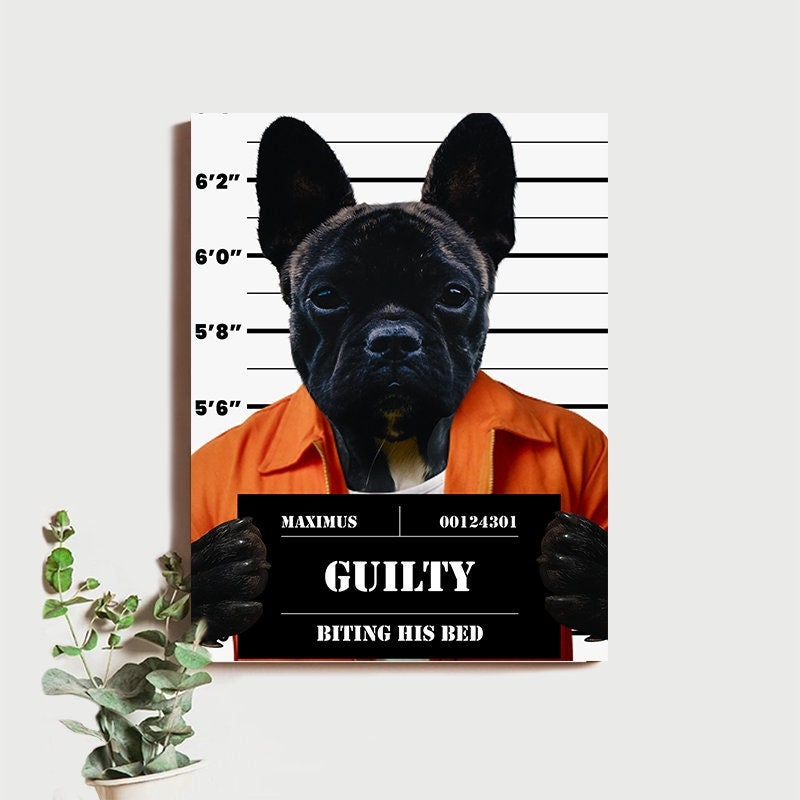 Custom Dog Mugshot - Etsy