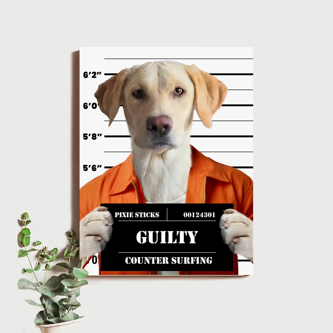 Dog Mugshot Canvas Portrait, Funny Dog Portrait, Guilty of Counter ...