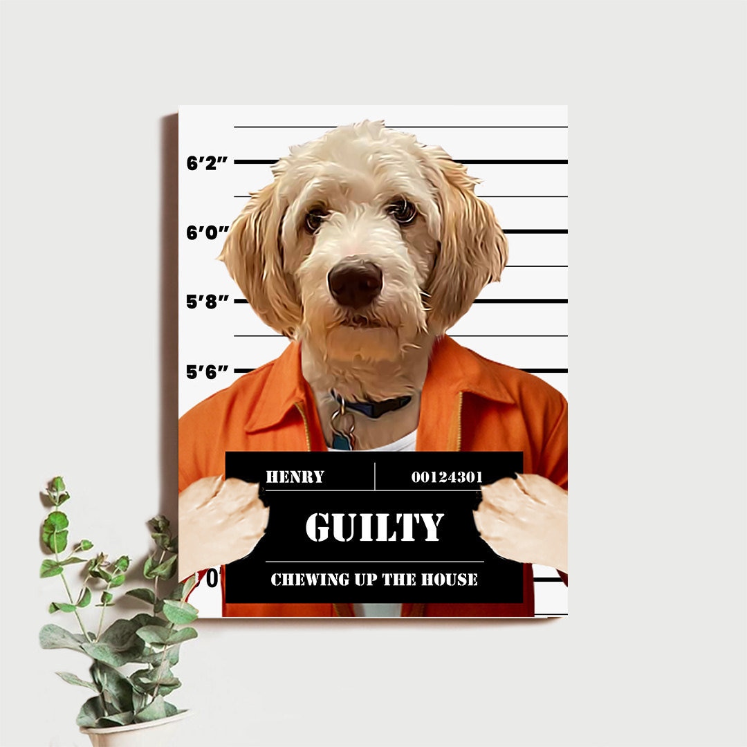 Guilty Dog Portrait Custom Guilty of Chewing up the House Dog - Etsy