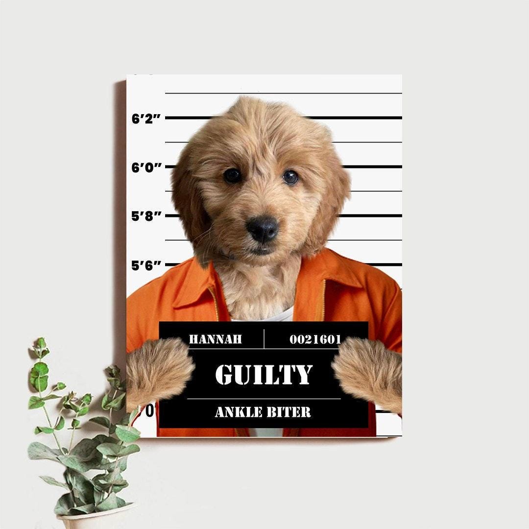 Ankle Biter Pet Dog Portrait, Personalized Dog Portrait, Custom Pet ...