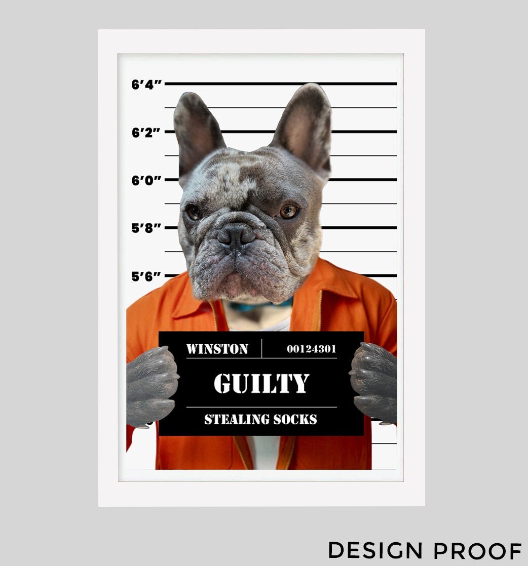 Guilty Bulldog