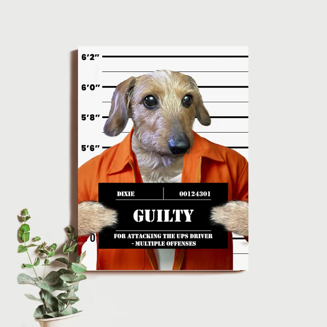 Funny Mug Shot Pet Portraits, Guilty Pet Portrait, Gag Pet Portrait ...