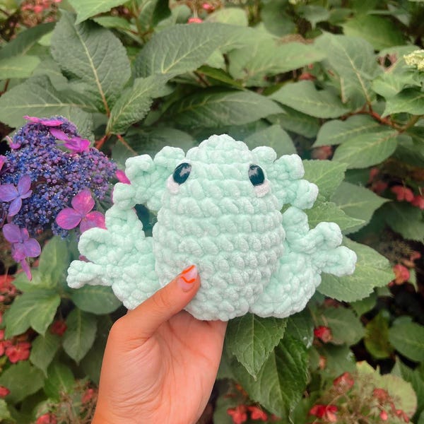 Dart Frogs Crochet - Etsy