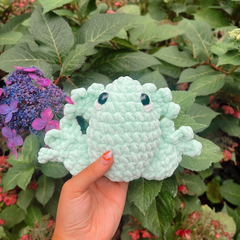 Dart Frogs Crochet - Etsy