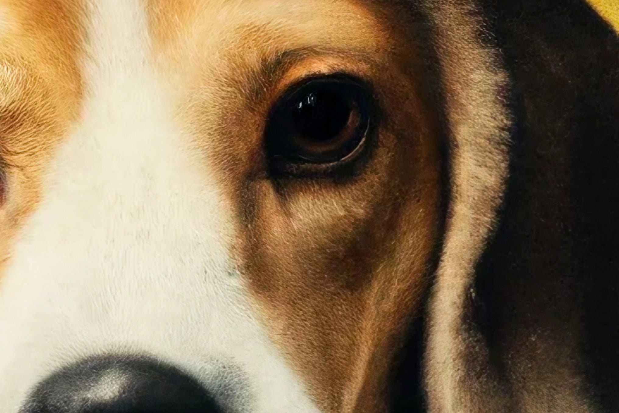 Beagle Print Gentleman Dog Dog Dressed as Human Dog Prints Surreal Dog ...
