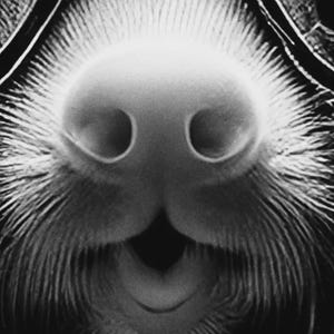 Mafia Mole Poster | Underground Pasta Art | Funny Animal Gangster Print ...