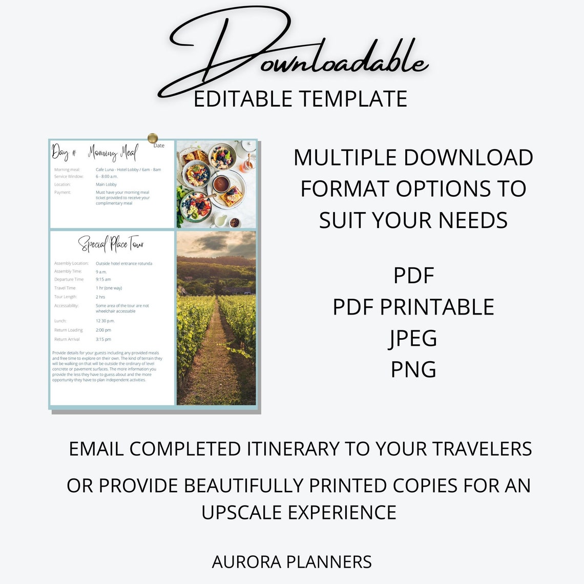 Travel Itinerary, Downloadable, Printable, Dynamic Daily Travel ...