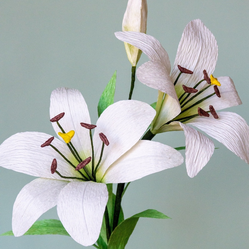 Paper Lily - Etsy