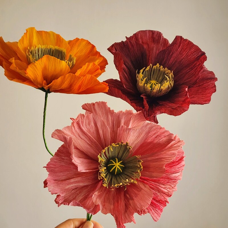 Paper Poppies - Etsy